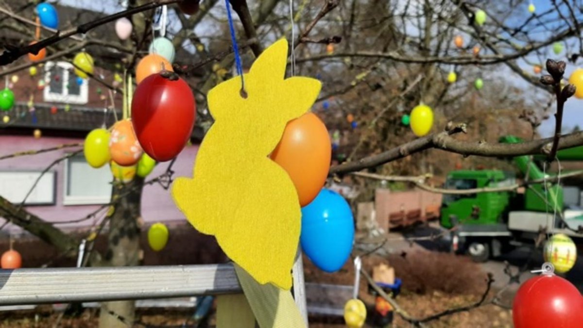 Der Frühling ist da: Gemeinde Winsen (Aller)